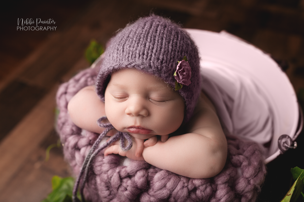 Home » nikkipainterphotography.com